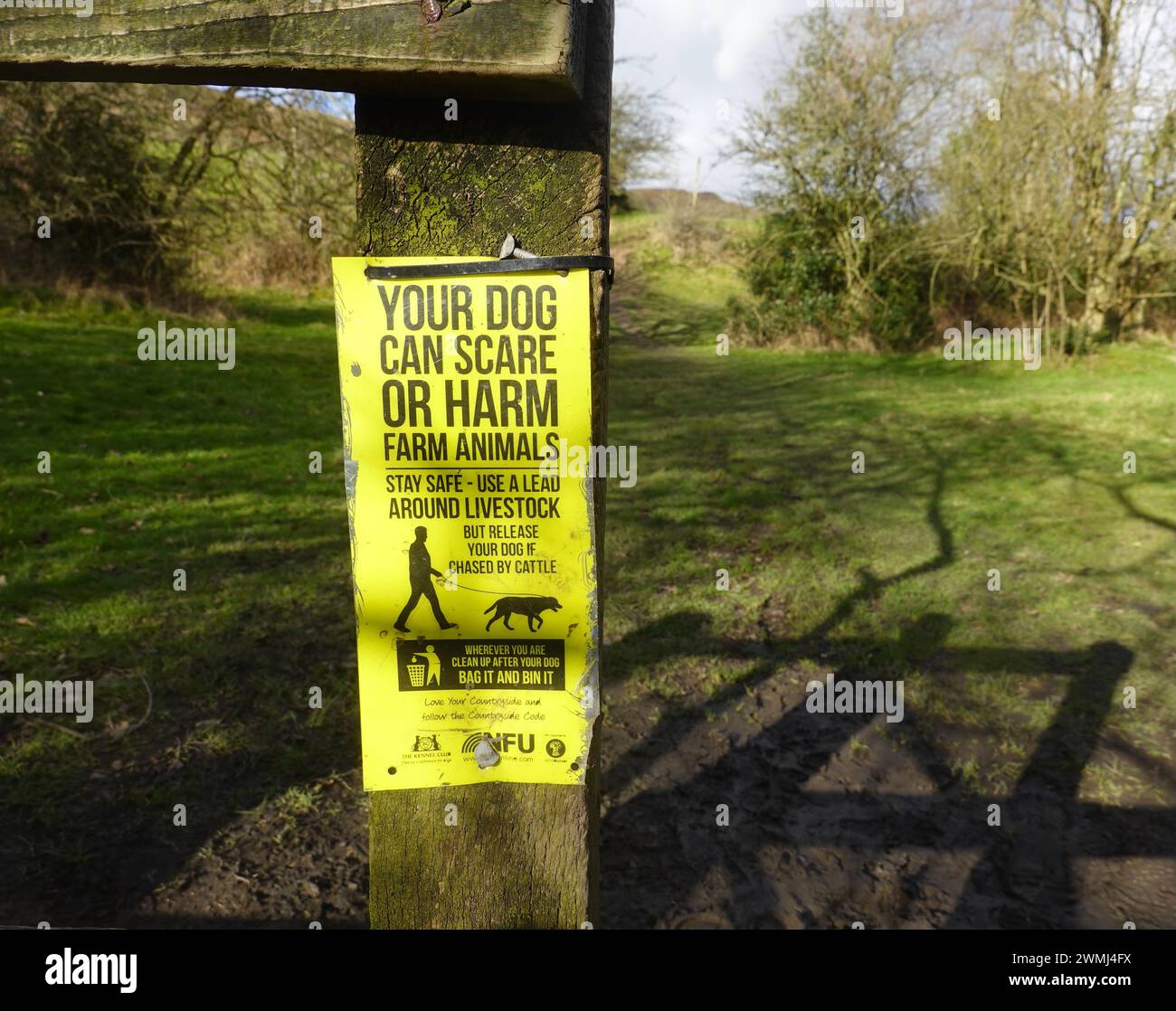 Dog control hi-res stock photography and images - Alamy