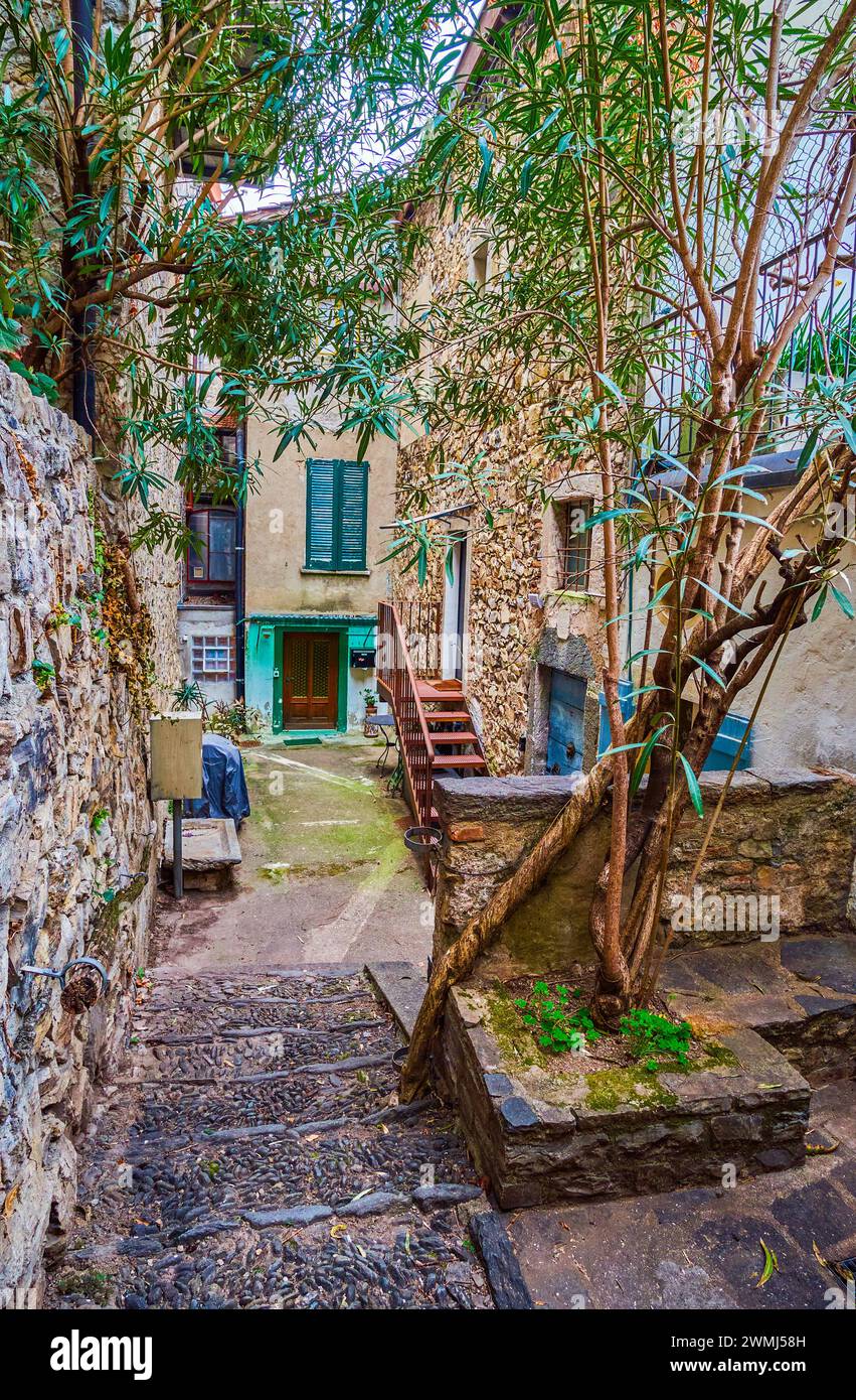 The small garden with lush plant on the shabby medieval street in ...