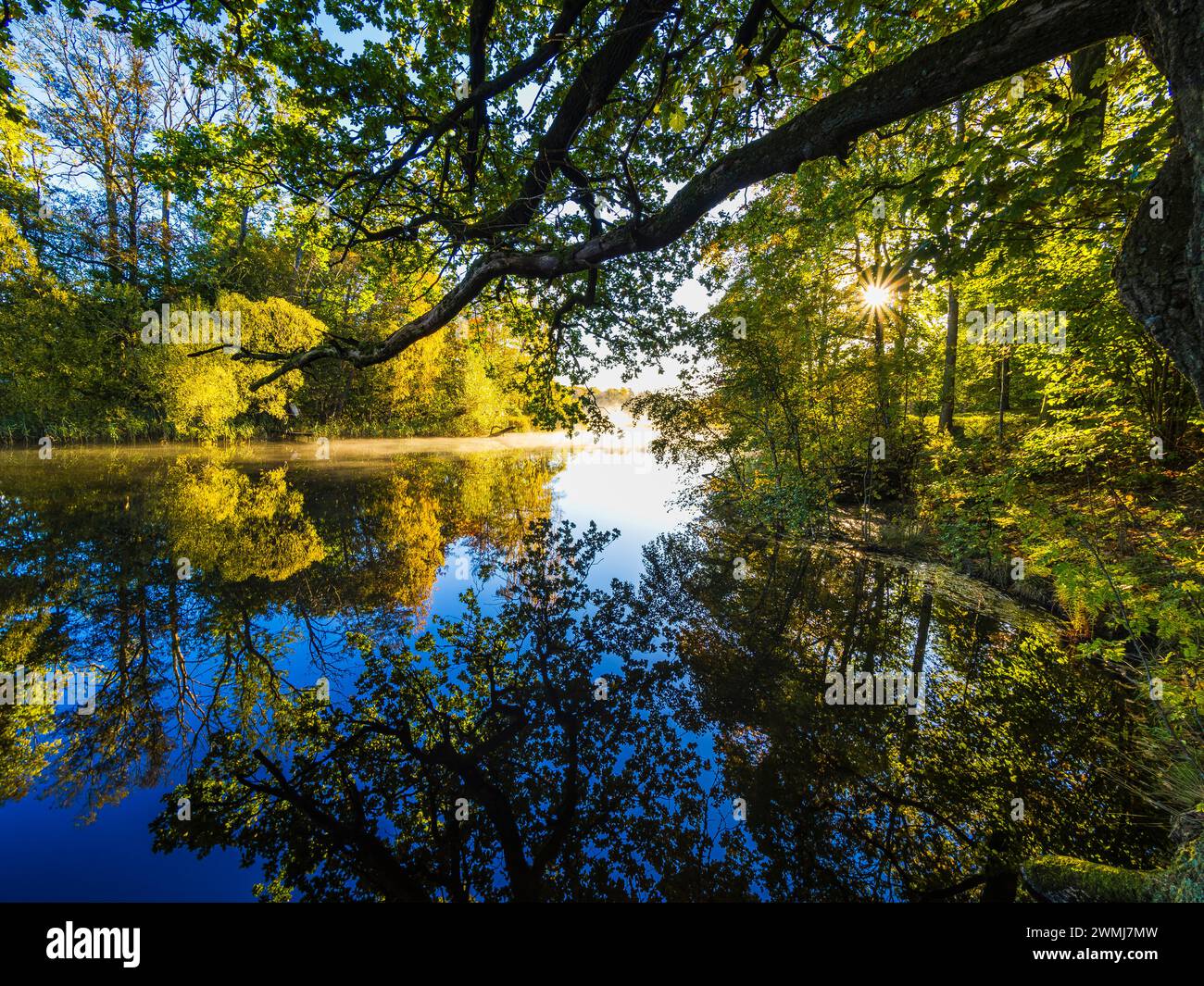 The rising sun casts a warm glow on the tranquil waters of a river ...