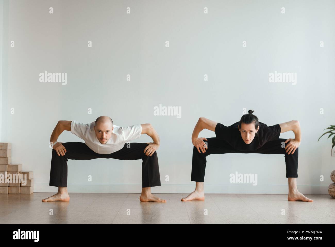 two young athletes practice yoga in the gym. Joint training, indoors ...
