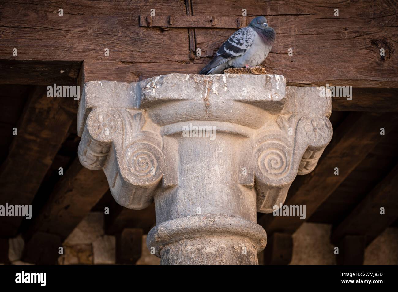 Typical column hi-res stock photography and images - Alamy
