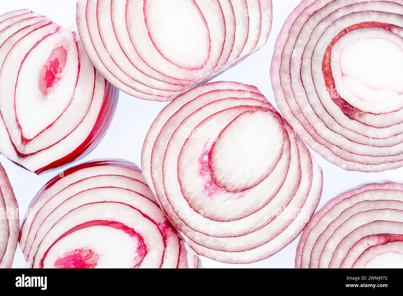 onion slices, Allium cepa Stock Photo - Alamy