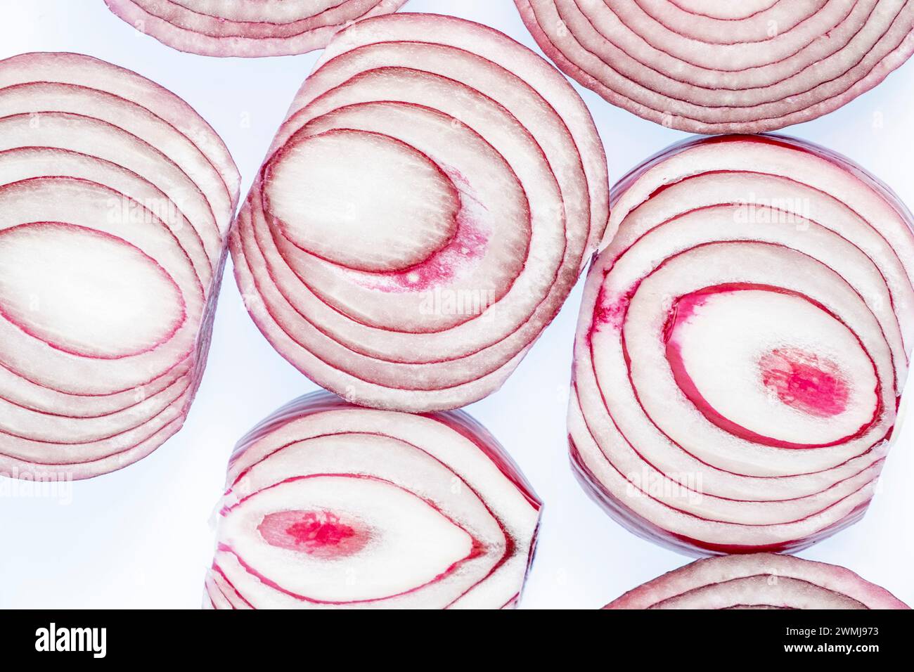 onion slices, Allium cepa Stock Photo - Alamy