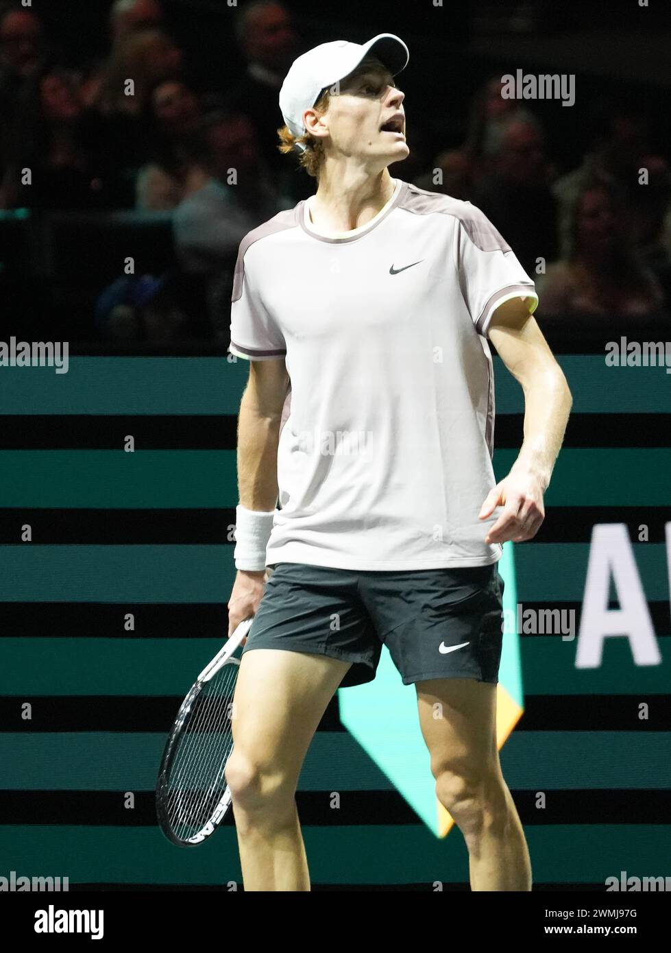 Jannik Sinner of Italy FINALE during the ABN Amro Open 2024, ATP 500 ...