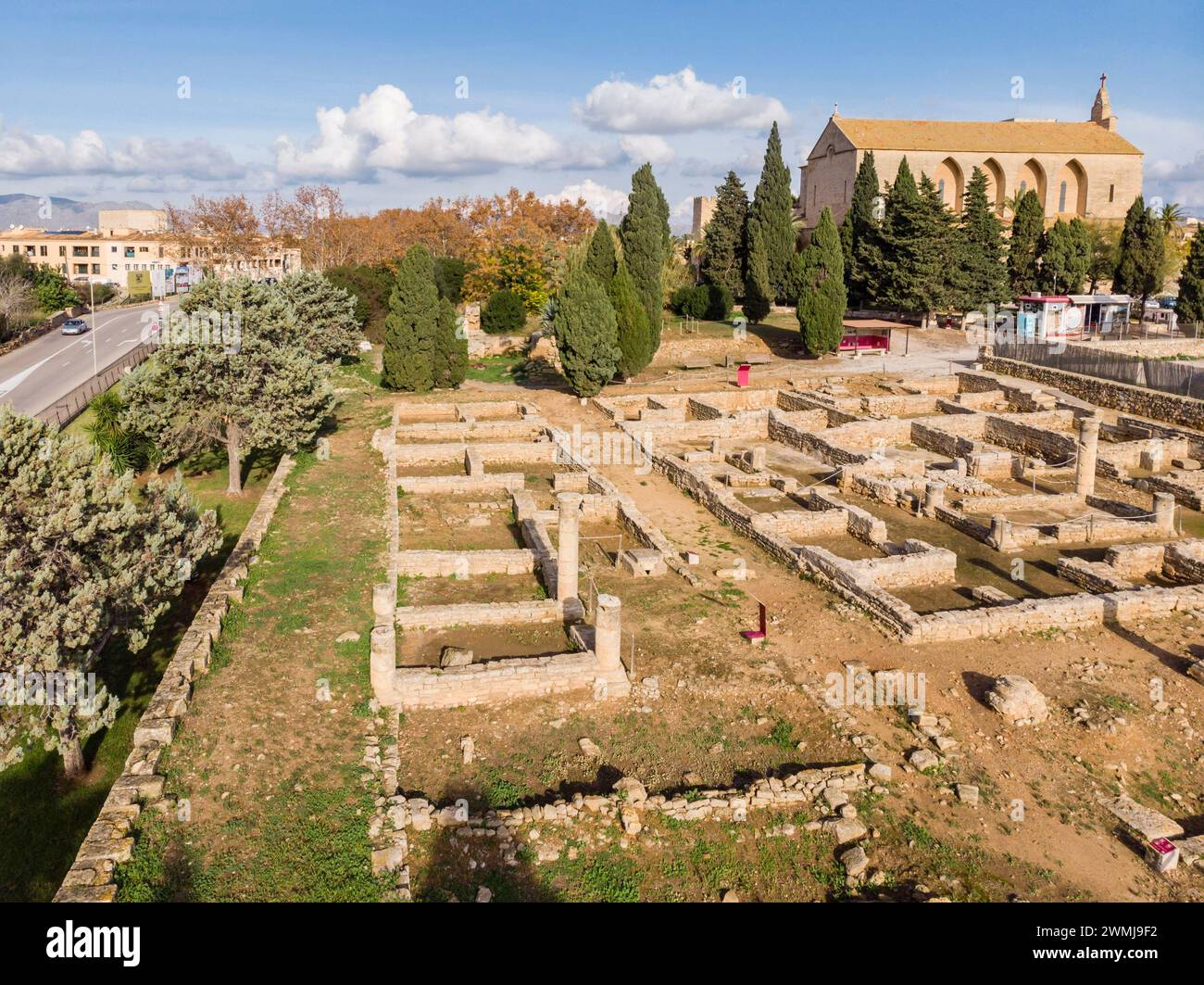 Roman city of Pollentia, Alcudia, Mallorca, Balearic Islands, Spain ...
