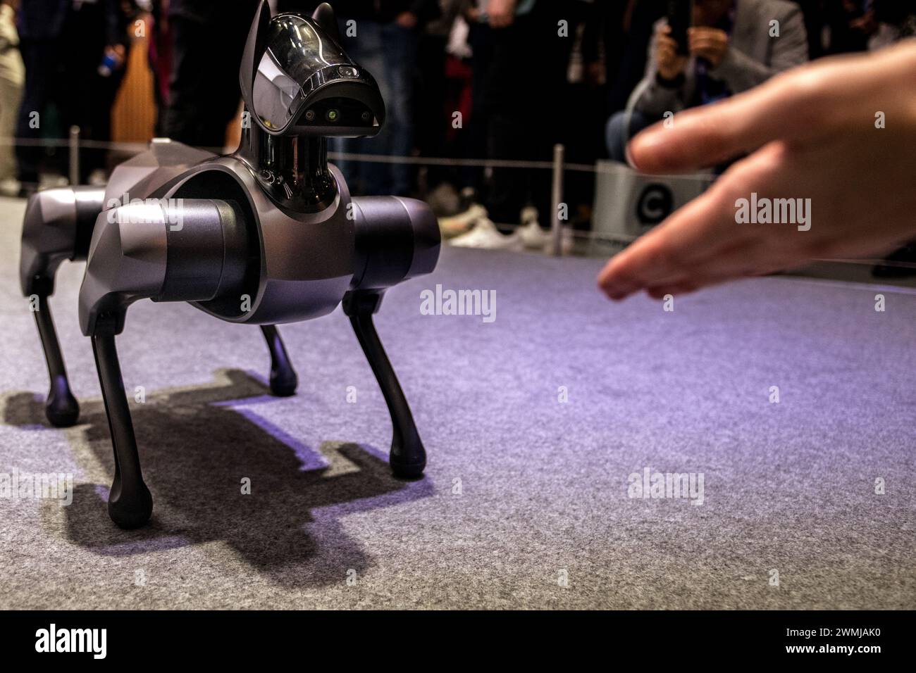 Barcelona, Spain. 26th Feb, 2024. CyberDog 2, a bio-inspired quadruped ...