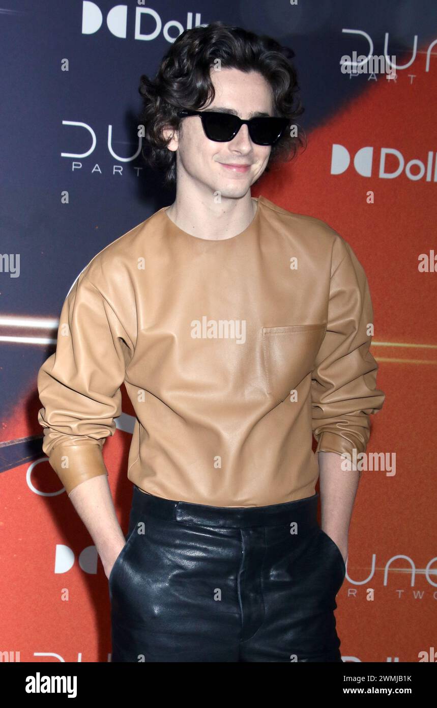 New York, NY, USA. 25th Feb, 2024. Timoth e Chalamet at the New York ...