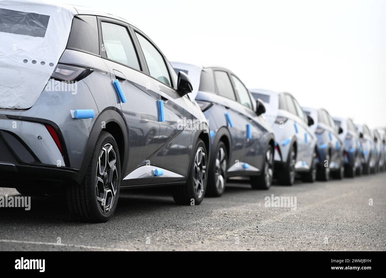 Byd dolphin hi-res stock photography and images - Alamy