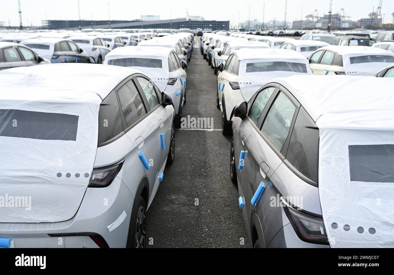 Byd dolphin hi-res stock photography and images - Alamy