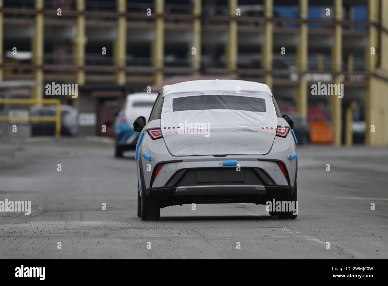 Byd dolphin hi-res stock photography and images - Alamy