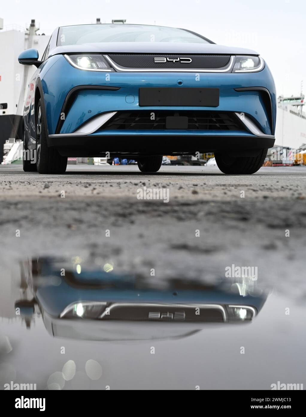 Byd dolphin hi-res stock photography and images - Alamy