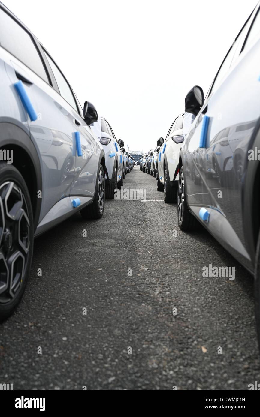 Byd dolphin hi-res stock photography and images - Alamy