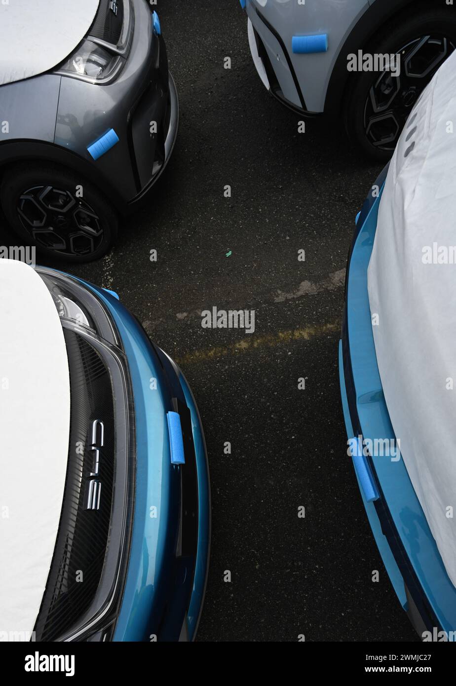 Byd dolphin hi-res stock photography and images - Alamy
