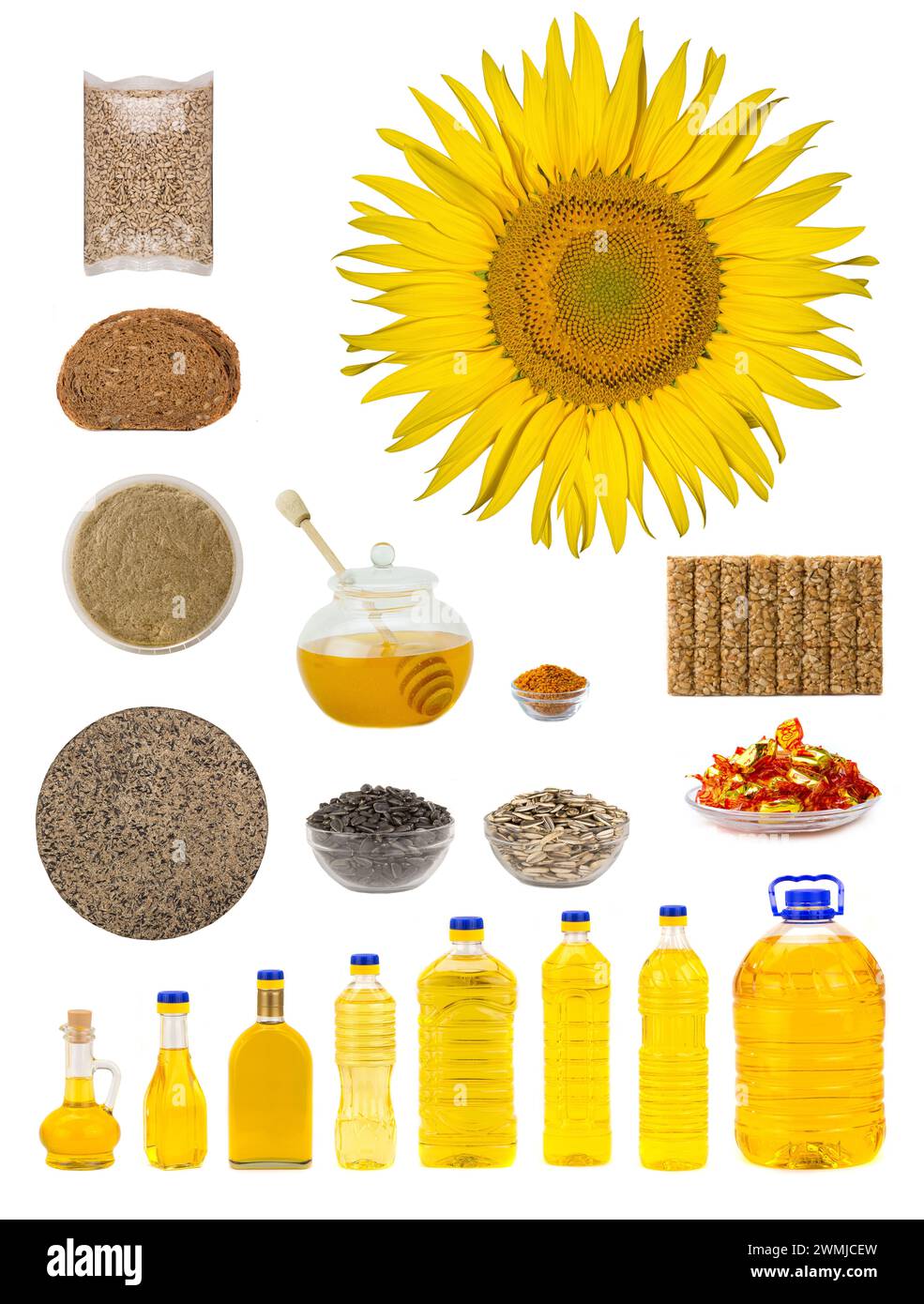 processing of a sunflower and products isolated on a white background ...