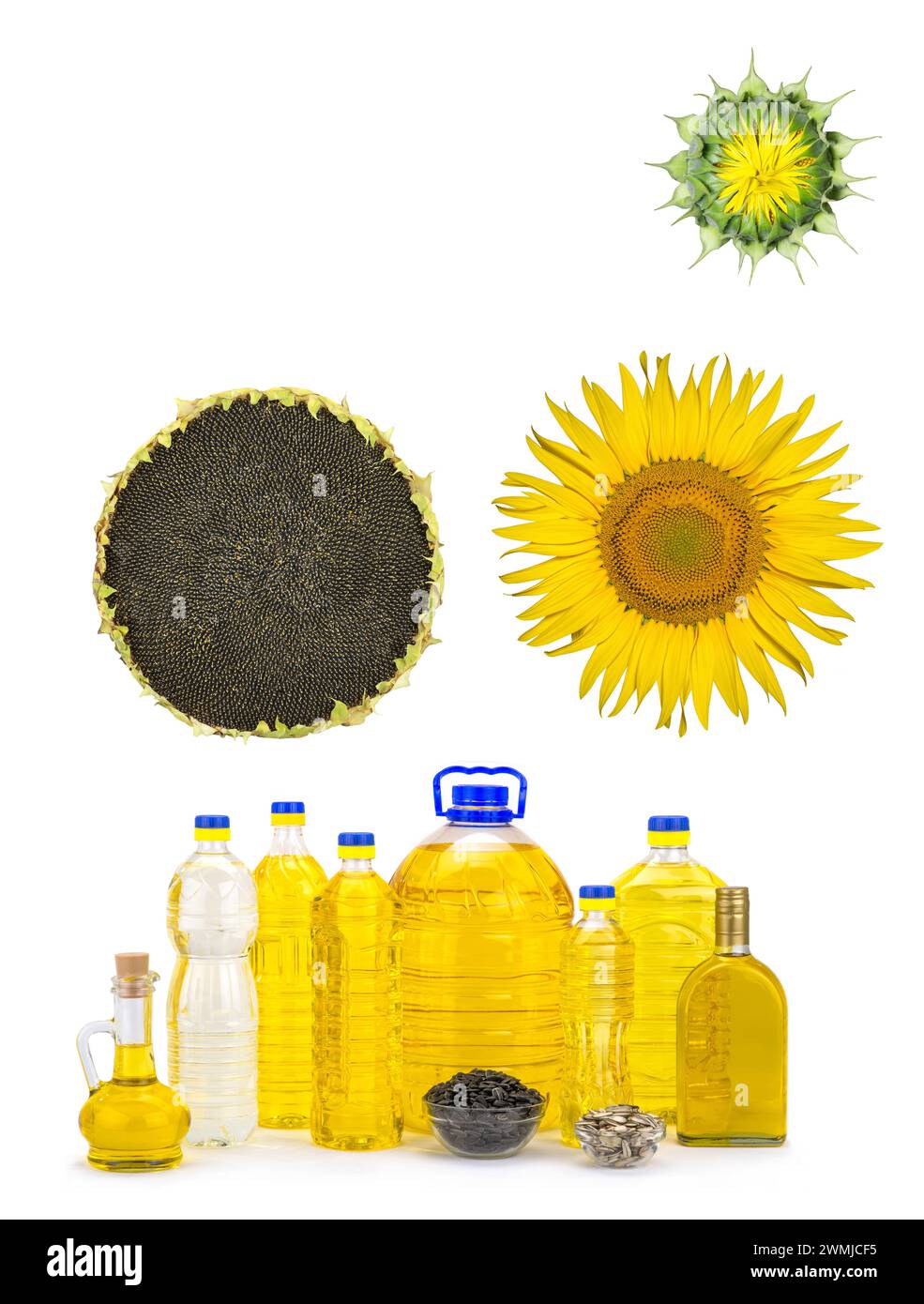 sunflower and products isolated on a white background Stock Photo - Alamy