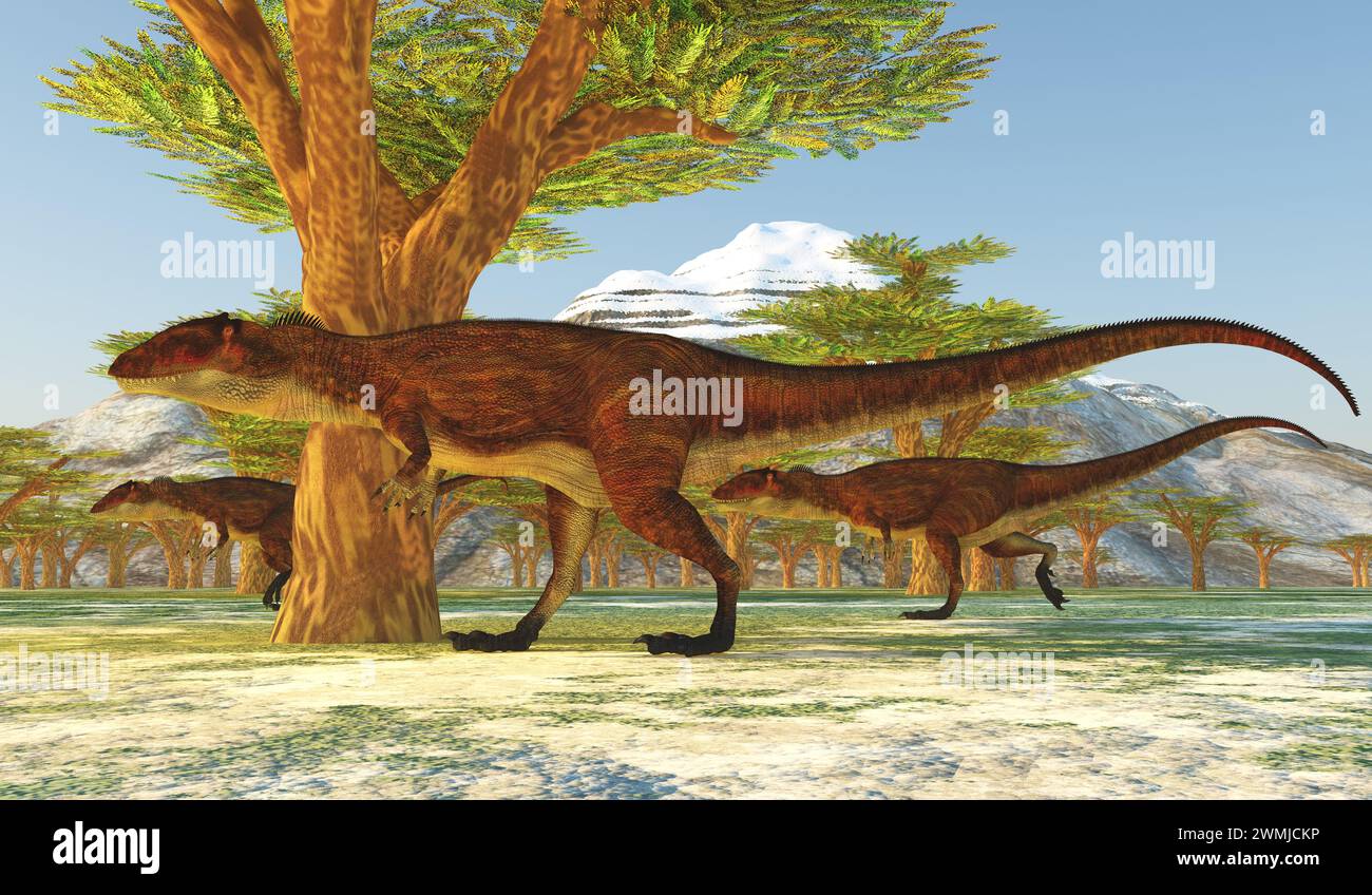 Shark toothed lizard hi-res stock photography and images - Alamy