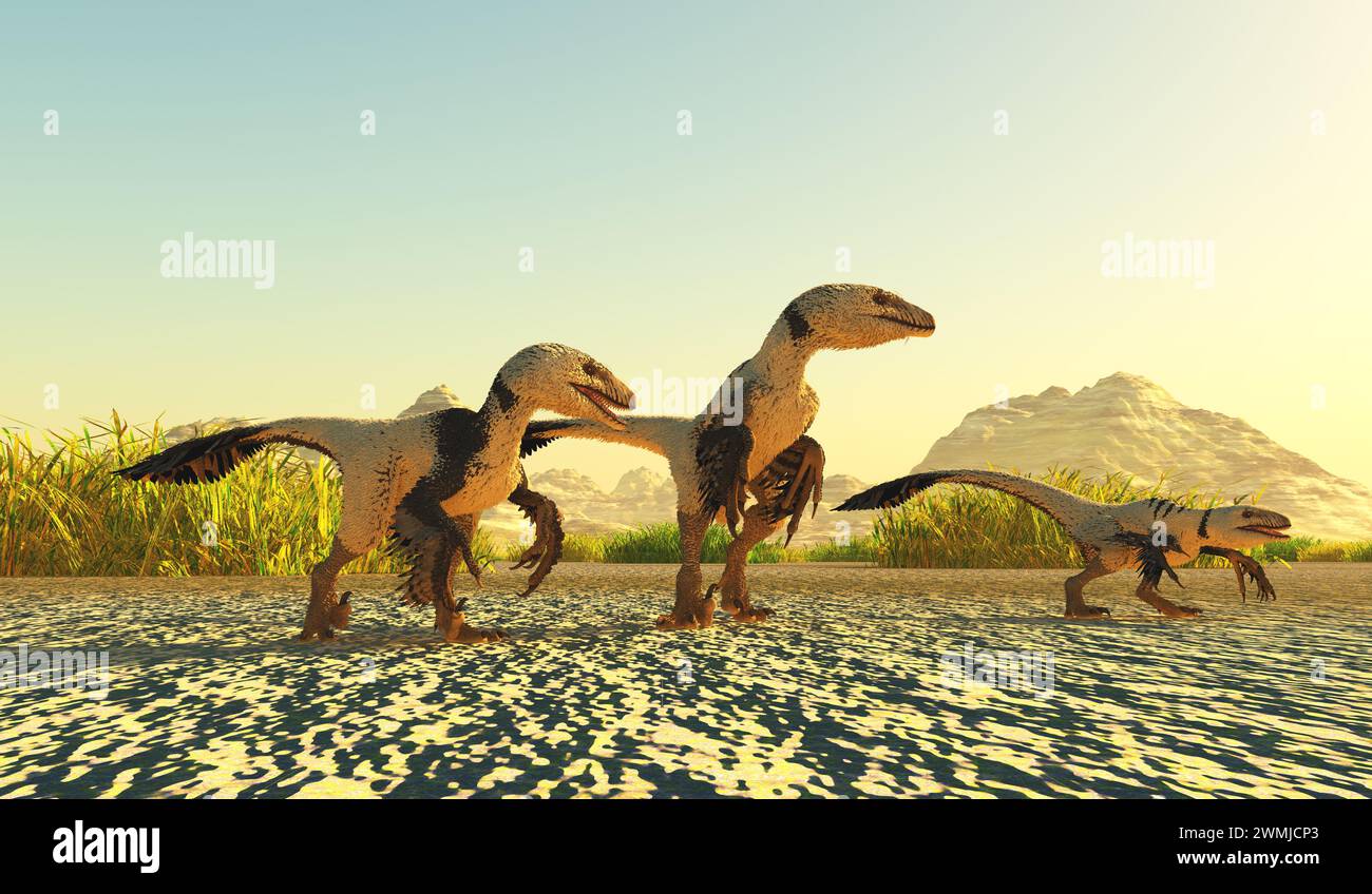 Dakotaraptor was a feathered theropod carnivorous dinosaur that lived ...