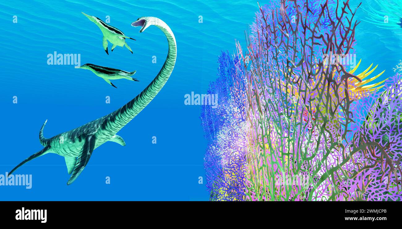 An Elasmosaurus bends his neck trying to capture a Dolichorhynchops ...