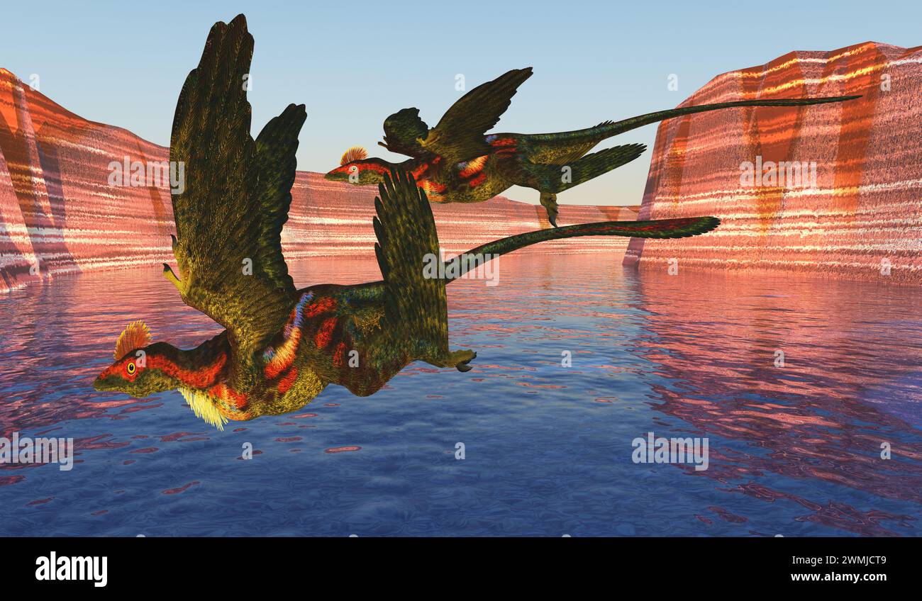 Microraptor was a carnivorous feathered raptor that lived in Mongolia ...