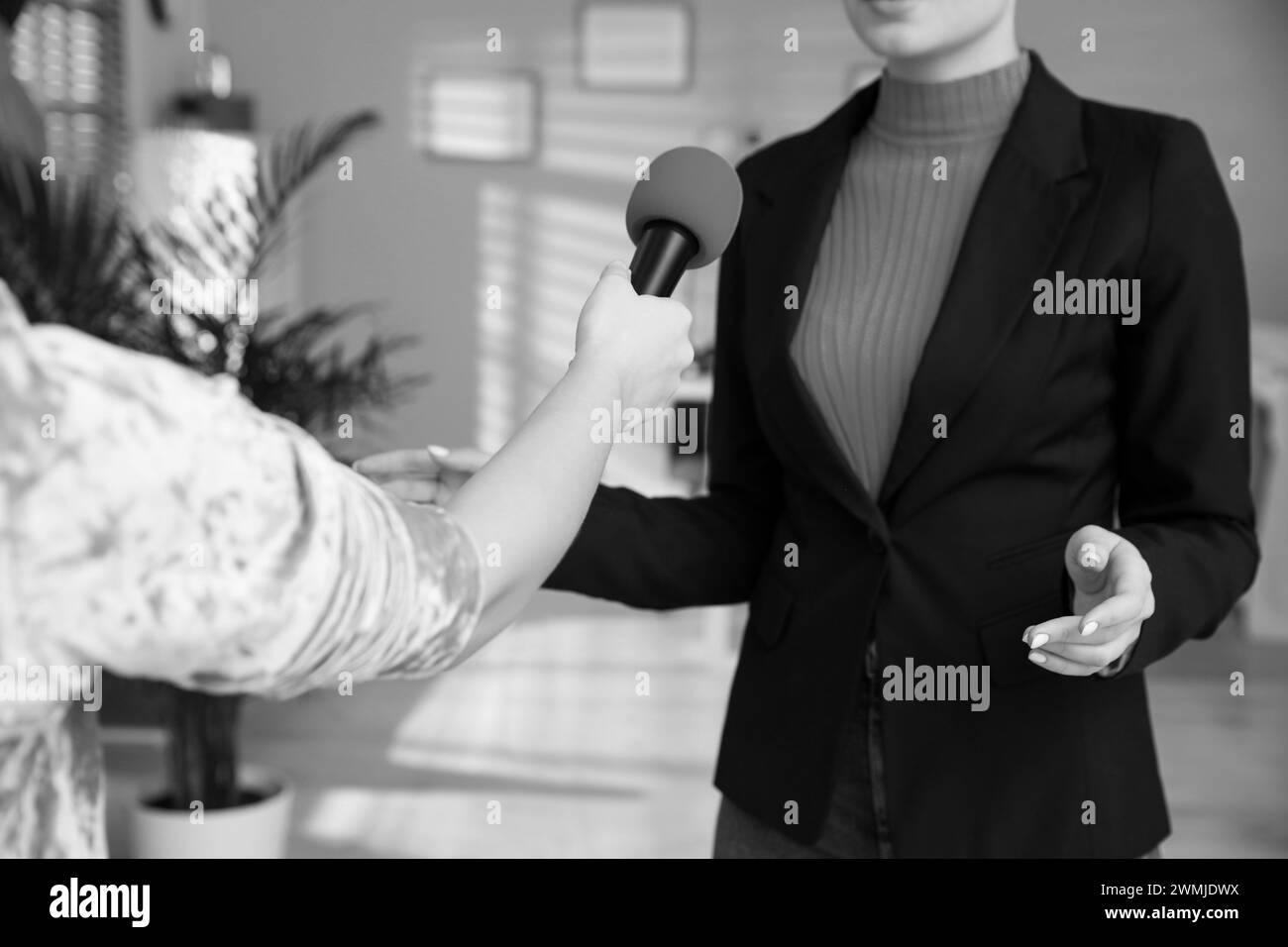 Businesswoman giving interview to journalist indoors, closeup. Black ...
