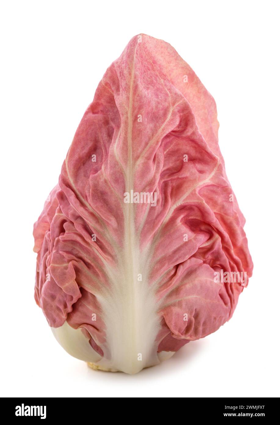 Pink radicchio mantovano isolated on white background Stock Photo - Alamy