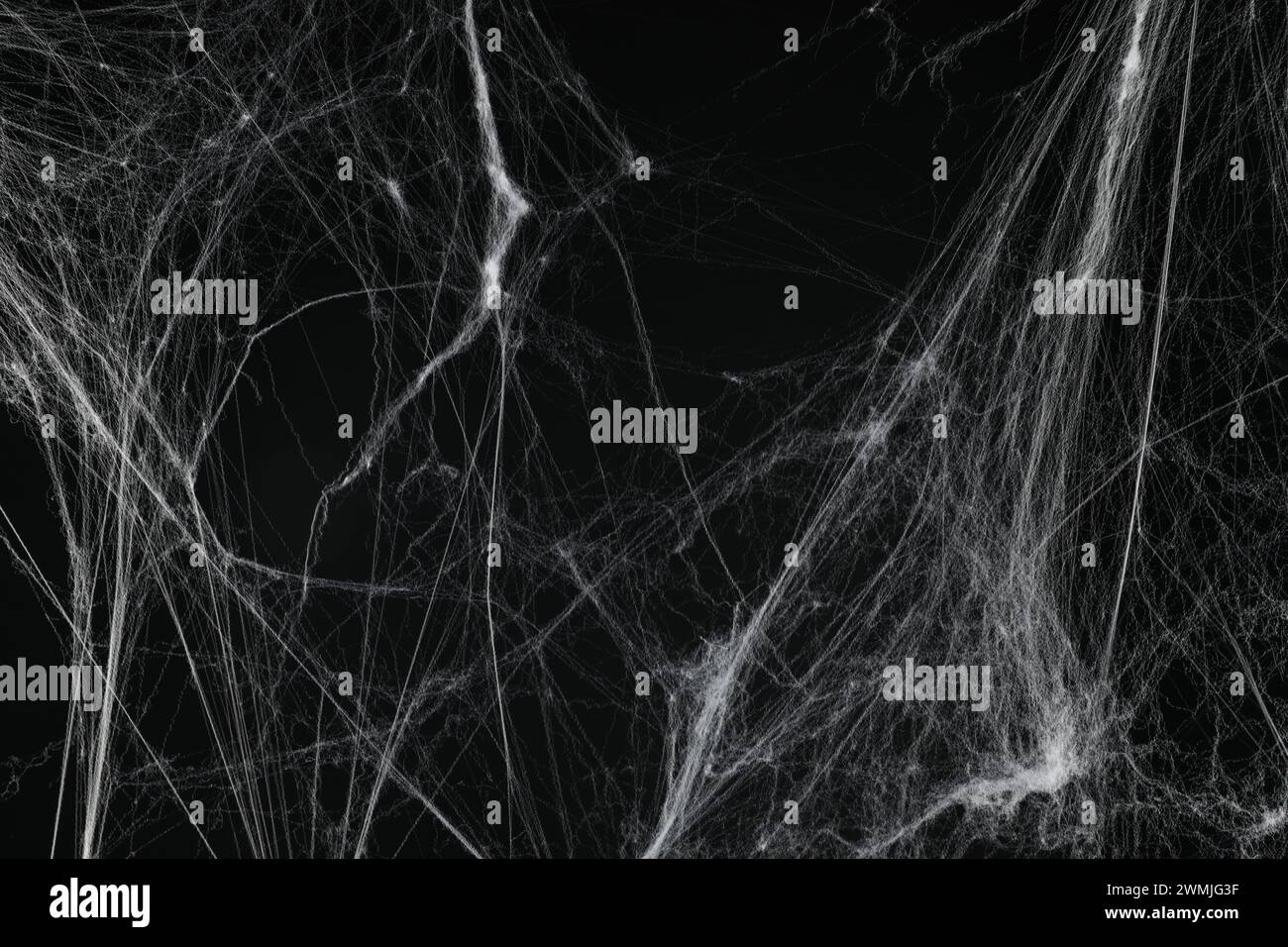 Creepy white spider web on black background Stock Photo - Alamy
