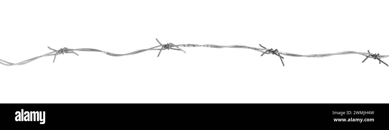 Shiny metal barbed wire isolated on white Stock Photo - Alamy