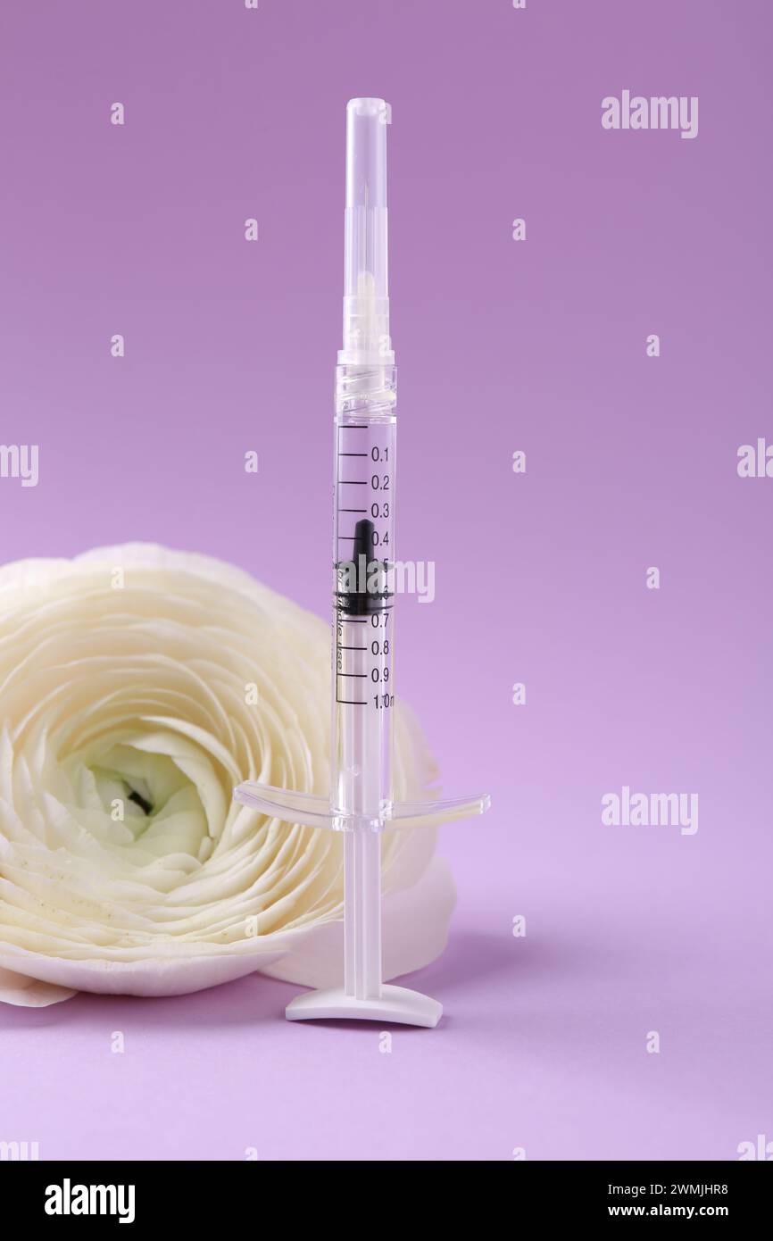 Cosmetology. Medical syringe and ranunculus flower on violet background ...