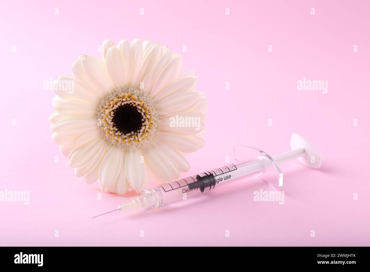 Cosmetology. Medical syringe and gerbera flower on pink background ...