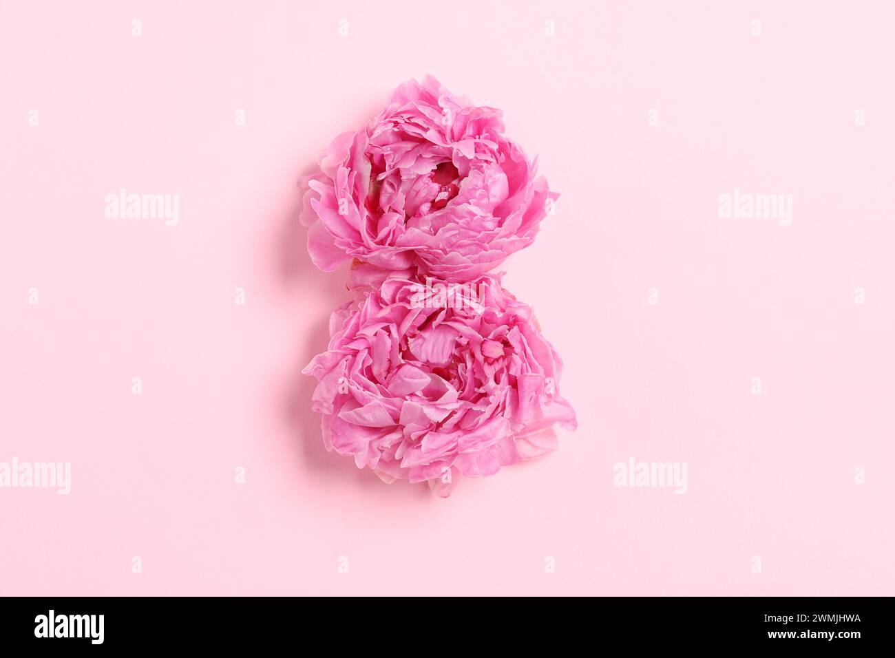 8 March greeting card design with beautiful peonies on pink background ...