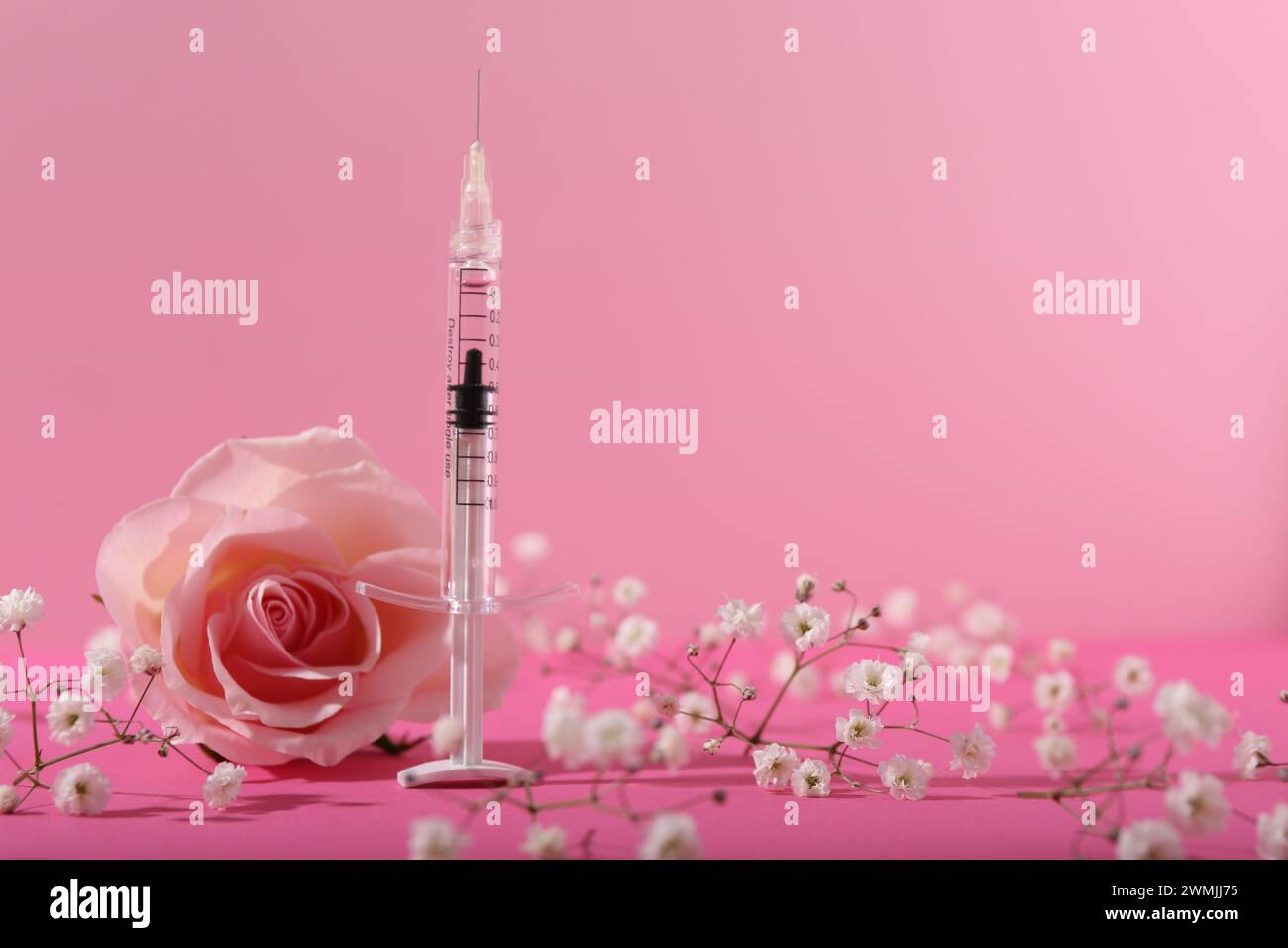 Cosmetology. Medical syringe, rose and gypsophila flowers on pink ...