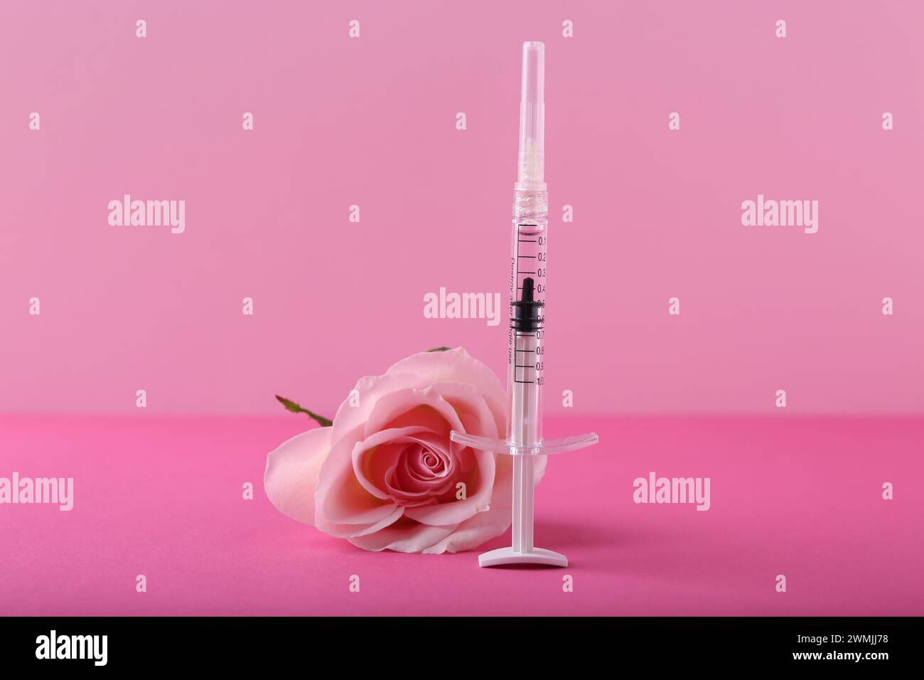Cosmetology. Medical syringe and rose flower on pink background Stock ...