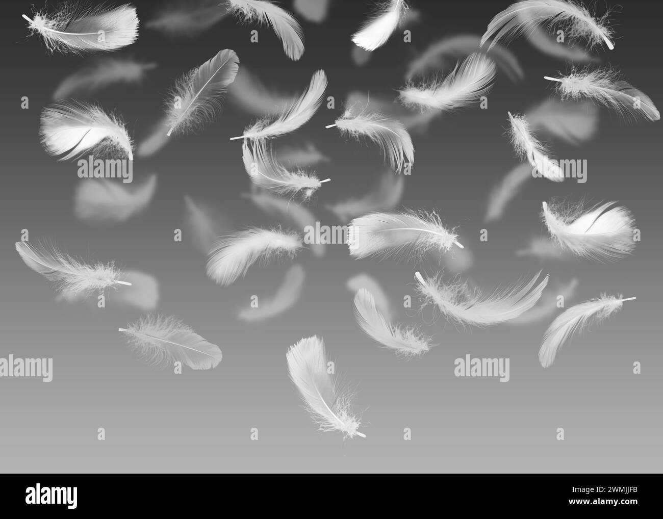 Fluffy bird feathers falling on grey background Stock Photo - Alamy