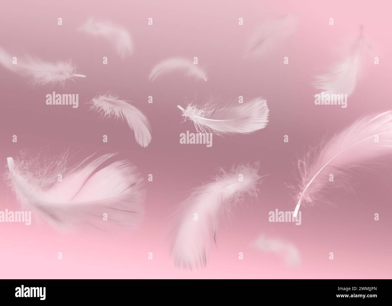 Dove bird collage element hi-res stock photography and images - Alamy