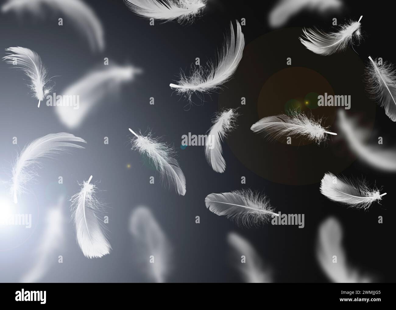 Feathers falling hi-res stock photography and images - Alamy