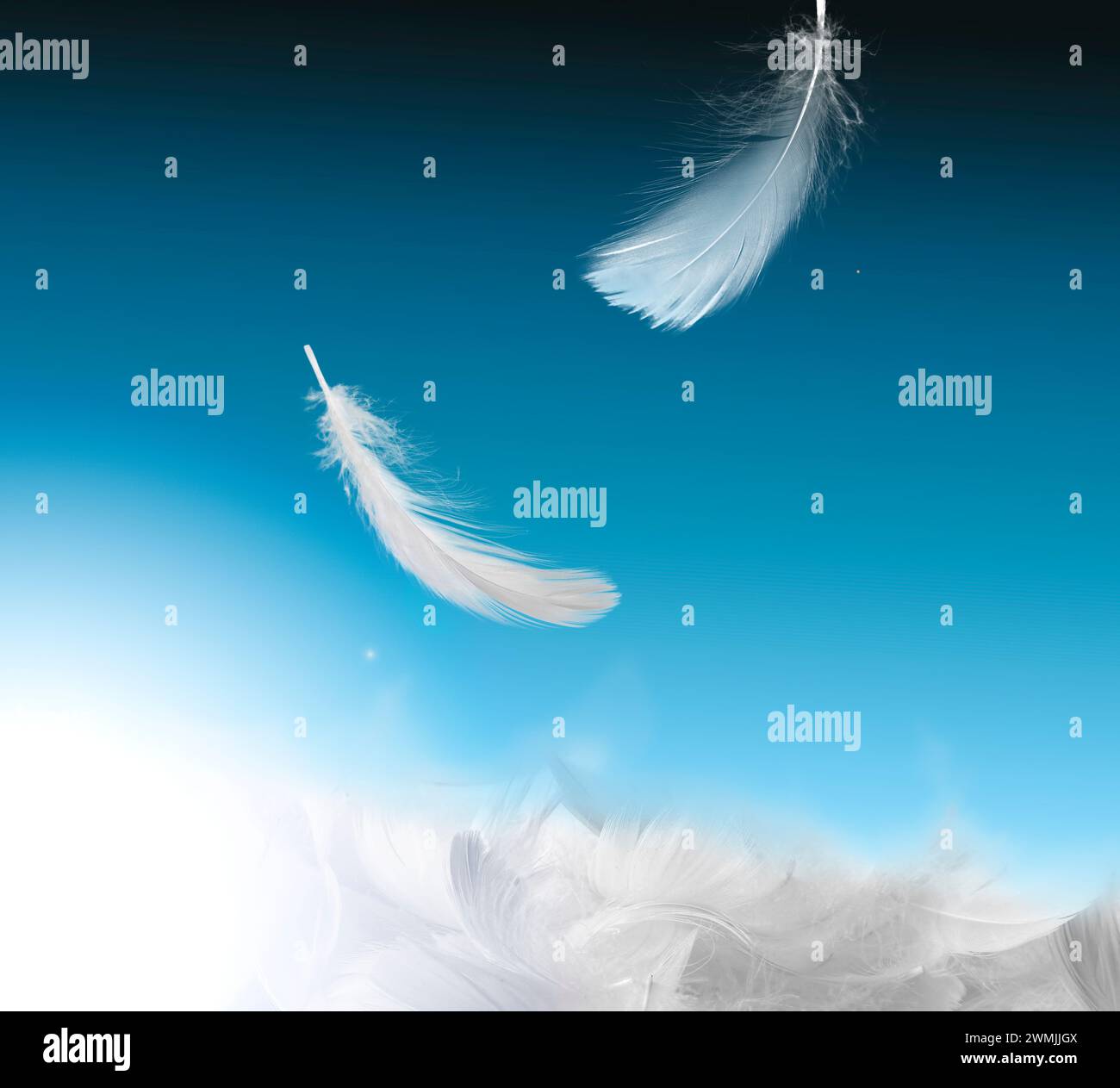 Fluffy bird feathers falling on light blue background Stock Photo - Alamy