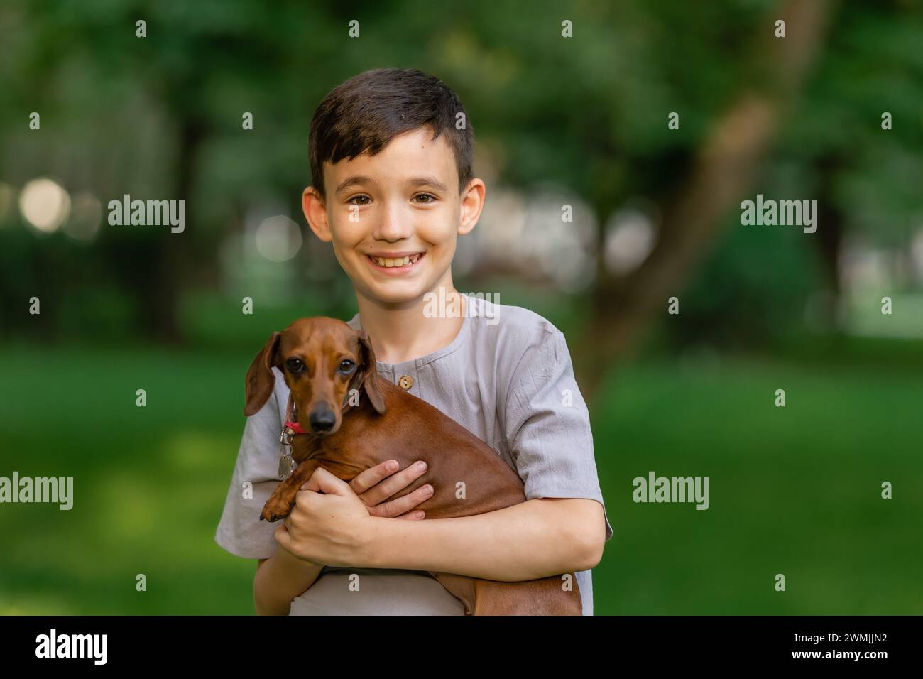 cute boy holds a dachshund dog in his arms during a summer walk. High ...