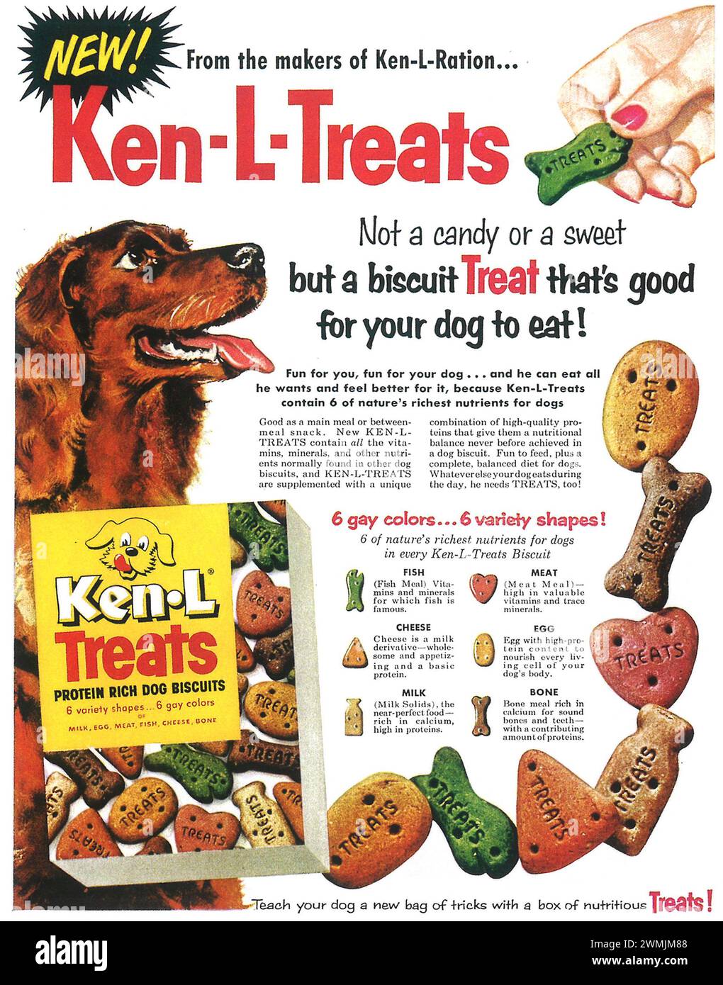 1955 Ken-L treats print ad Stock Photo - Alamy
