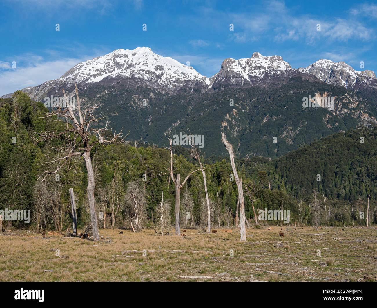 Mountain range along road 235 connecting Futaleufu with the Carretera ...