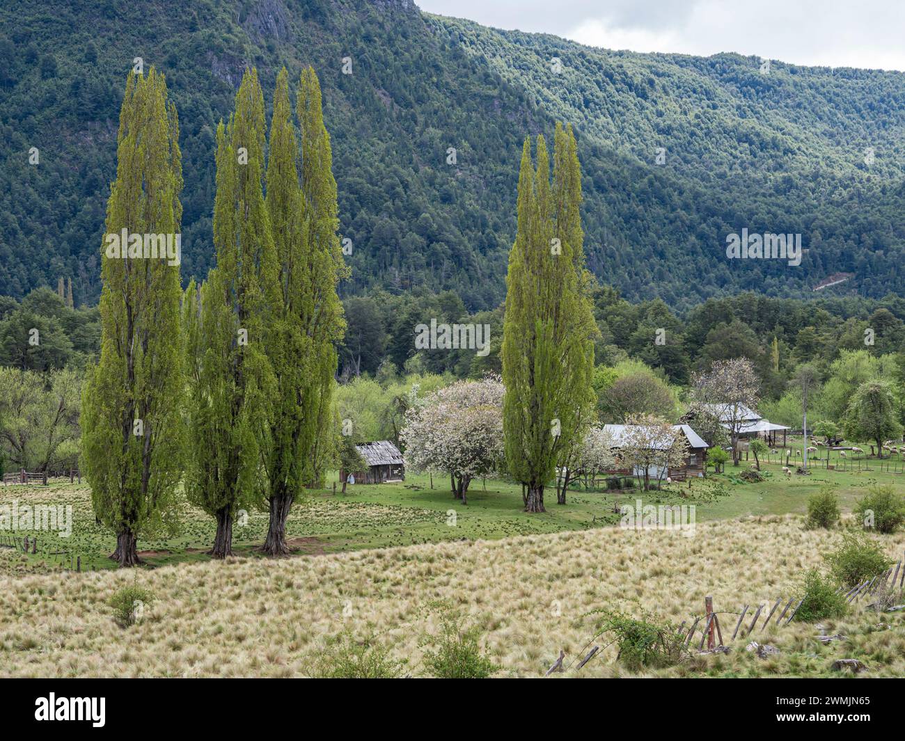 Las escalas hi-res stock photography and images - Alamy