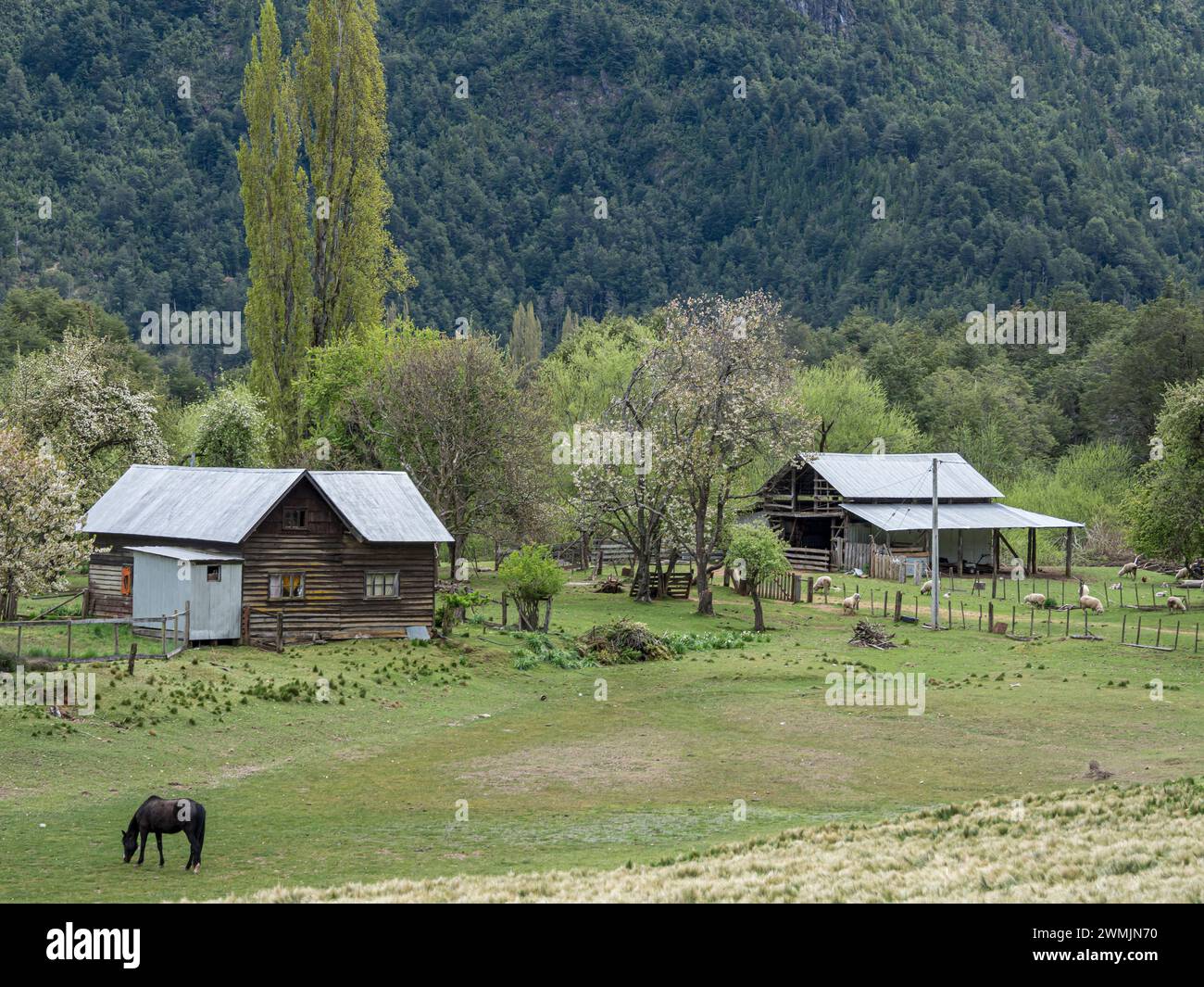 Las escalas hi-res stock photography and images - Alamy