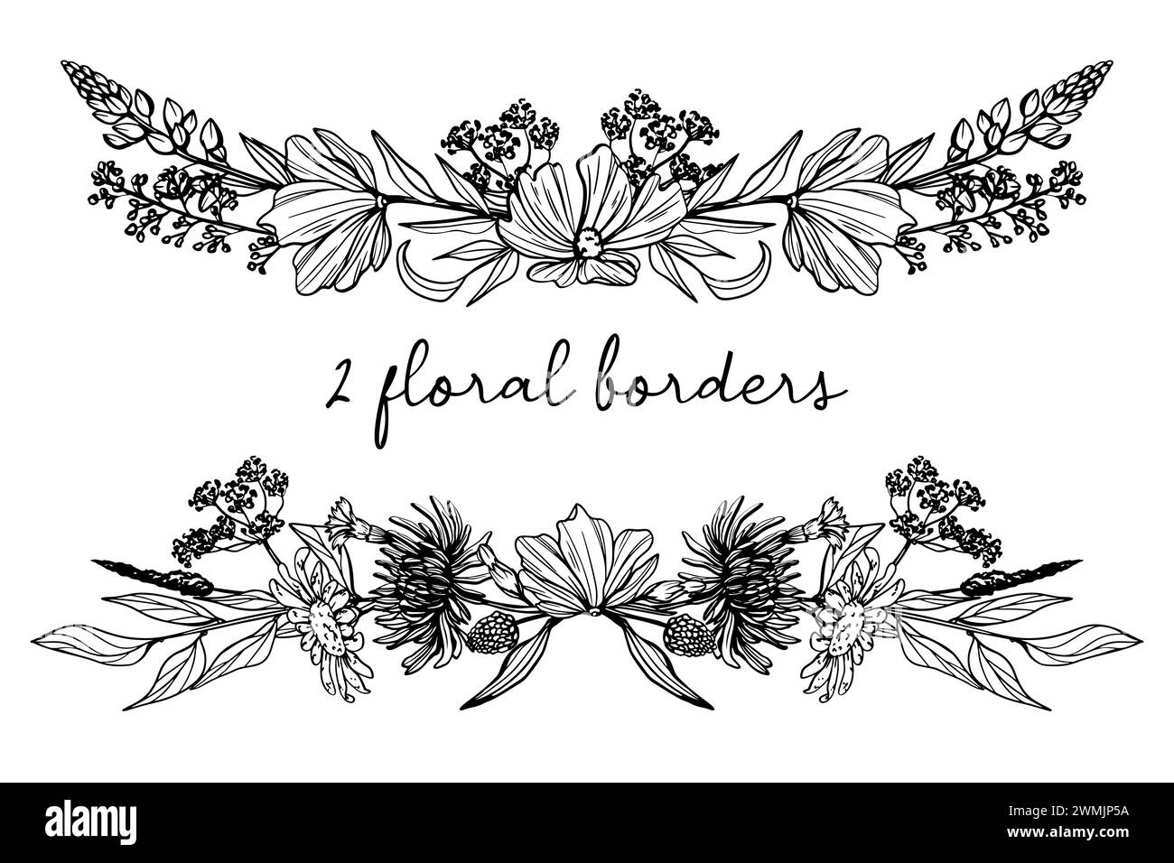 2 floral borders, sketch hand drawn floral border, hand drawn flower ...