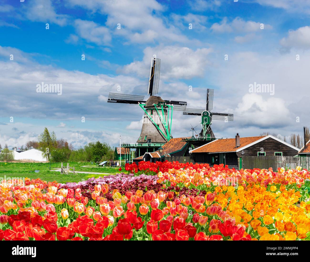 Dutch wind mills Stock Photo - Alamy