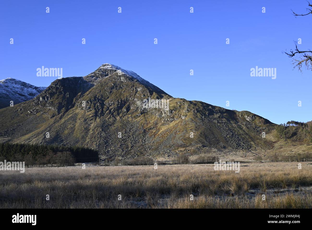 Glen clova river south esk hi-res stock photography and images - Alamy