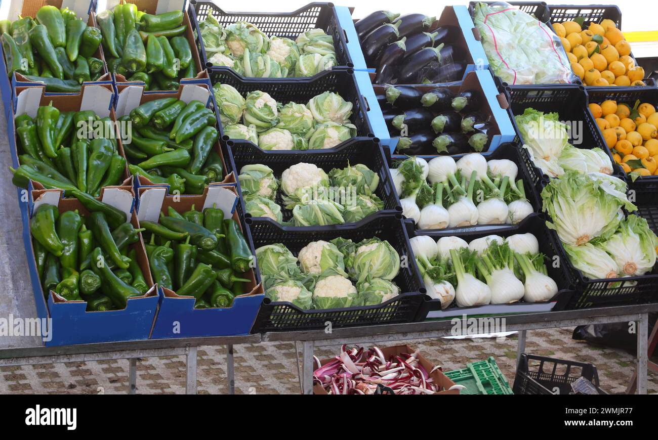 vegetable boxes with peppers cauliflower aubergines fennel milk for ...