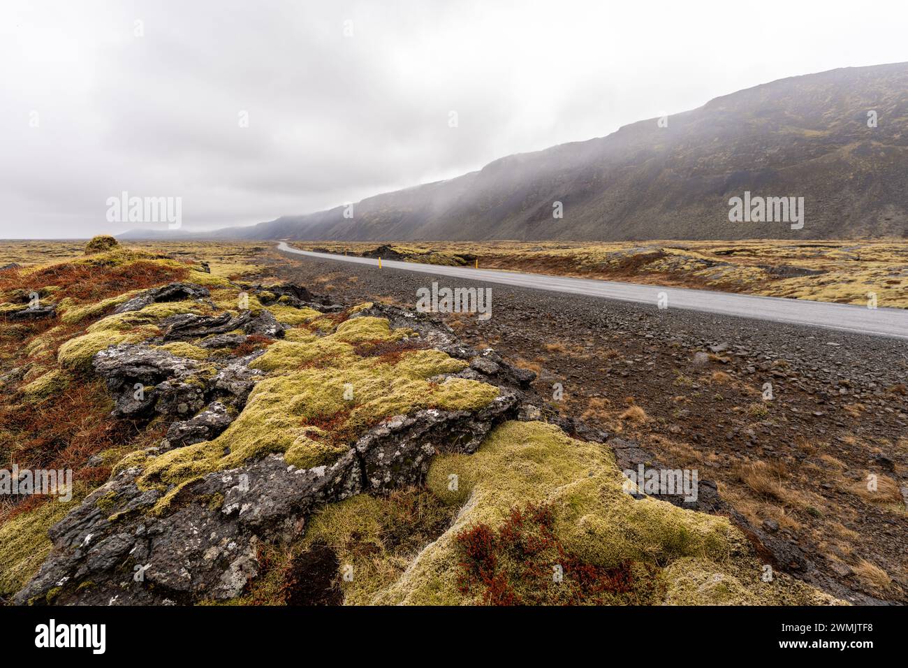 Road after rain in Iceland in spring Stock Photo - Alamy