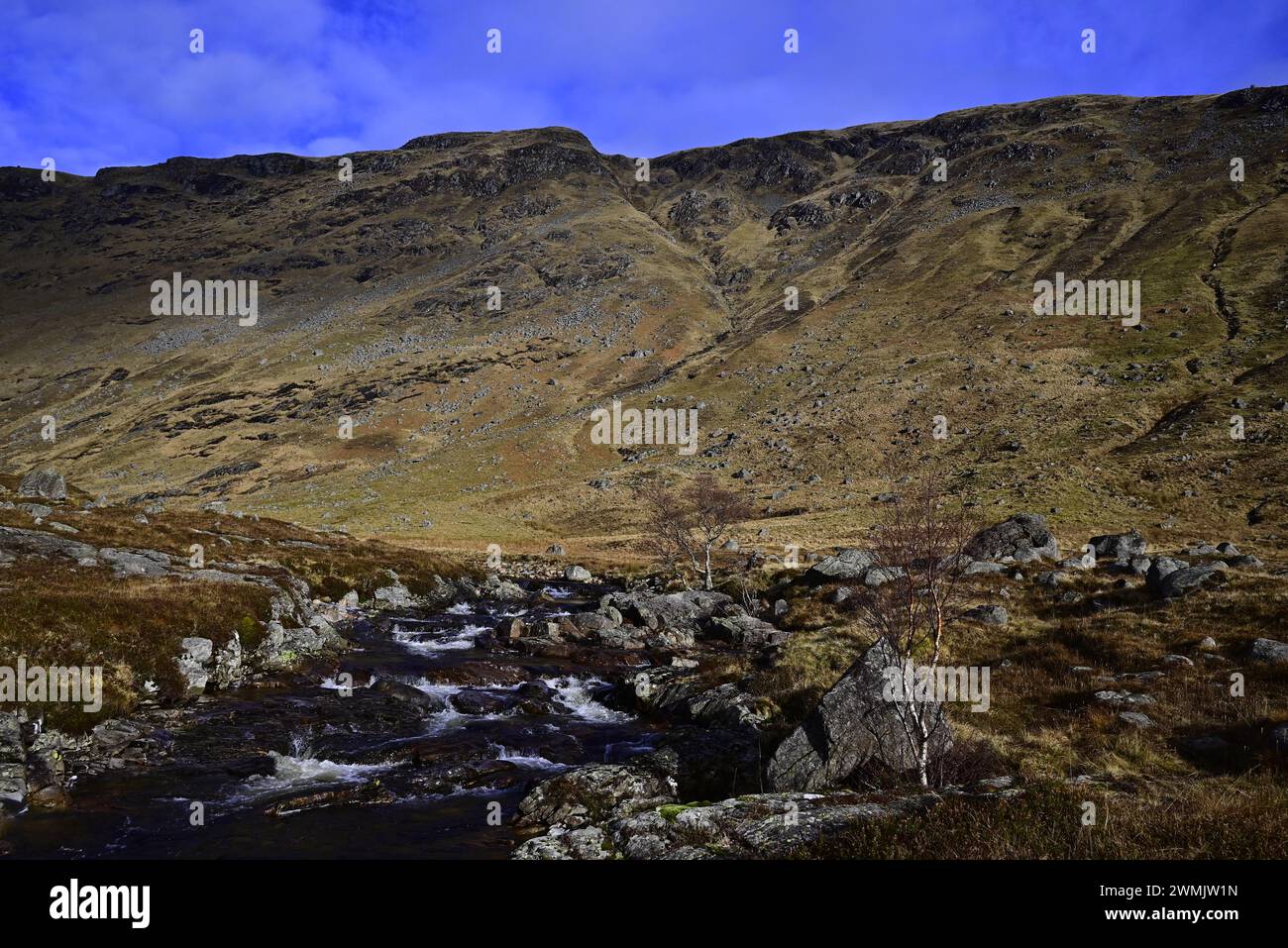 Glen clova river south esk hi-res stock photography and images - Alamy