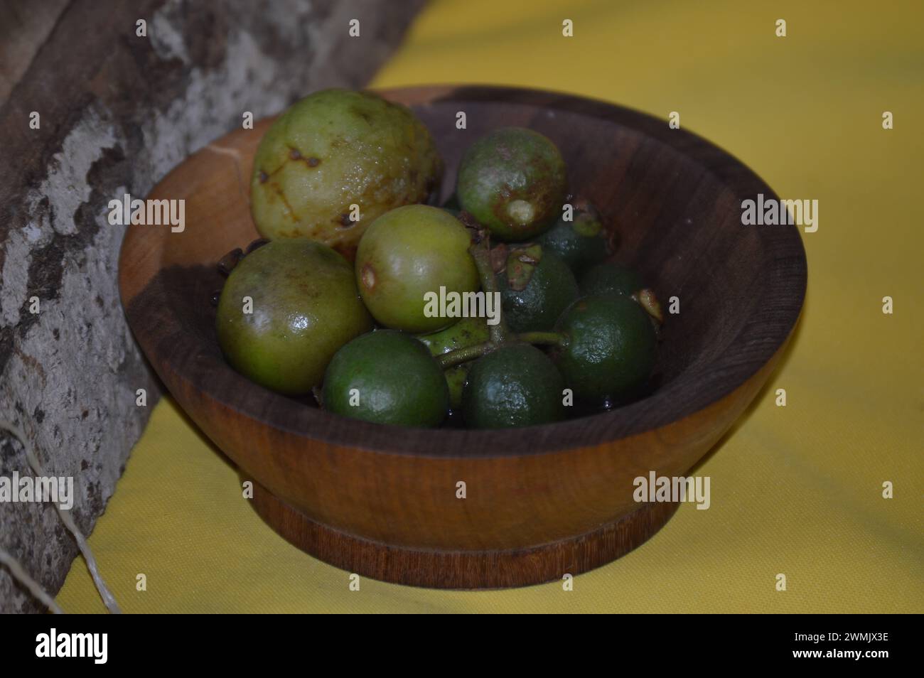 Araçá or Cattley guava fruit with scientific name (Psidium Cattleianum ...