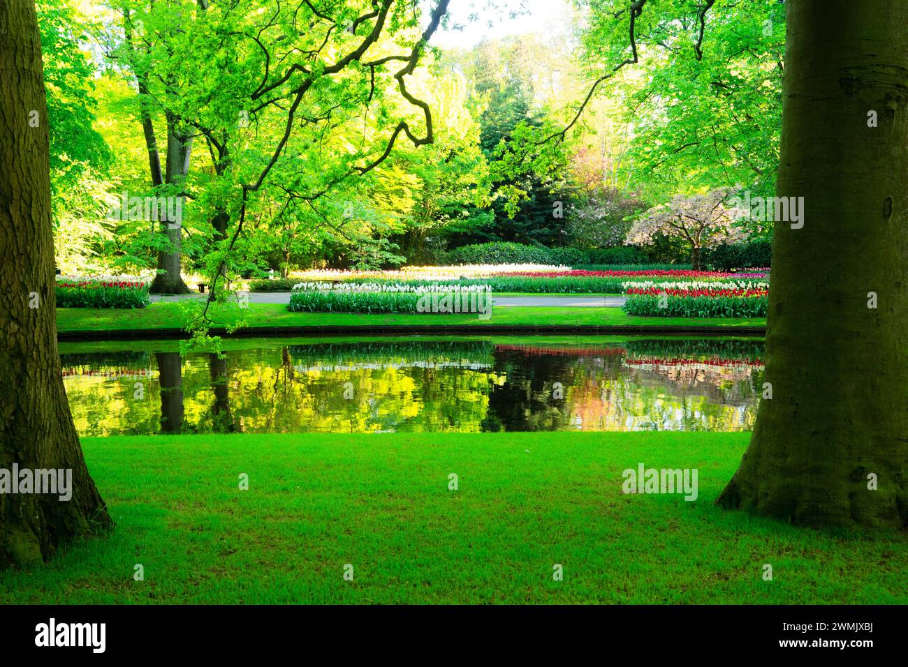 spring pond in park Stock Photo - Alamy