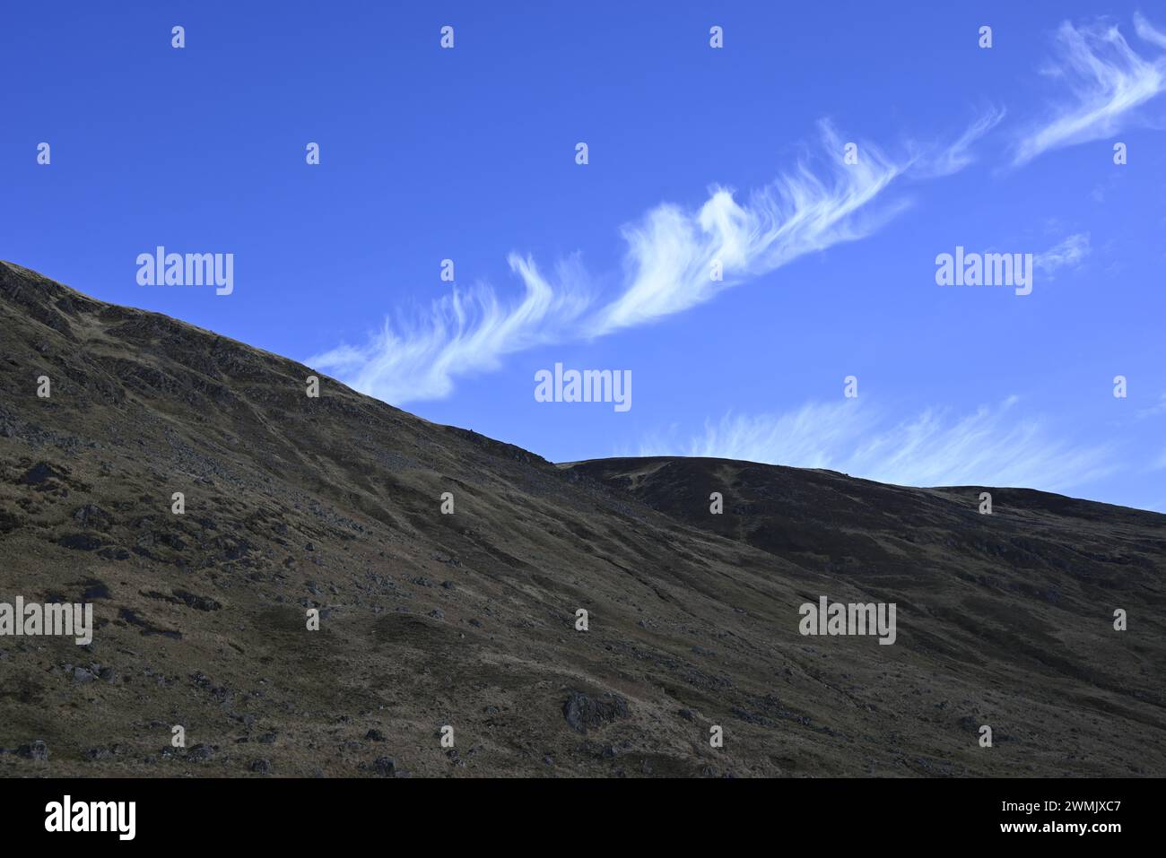 Glen clova river south esk hi-res stock photography and images - Alamy